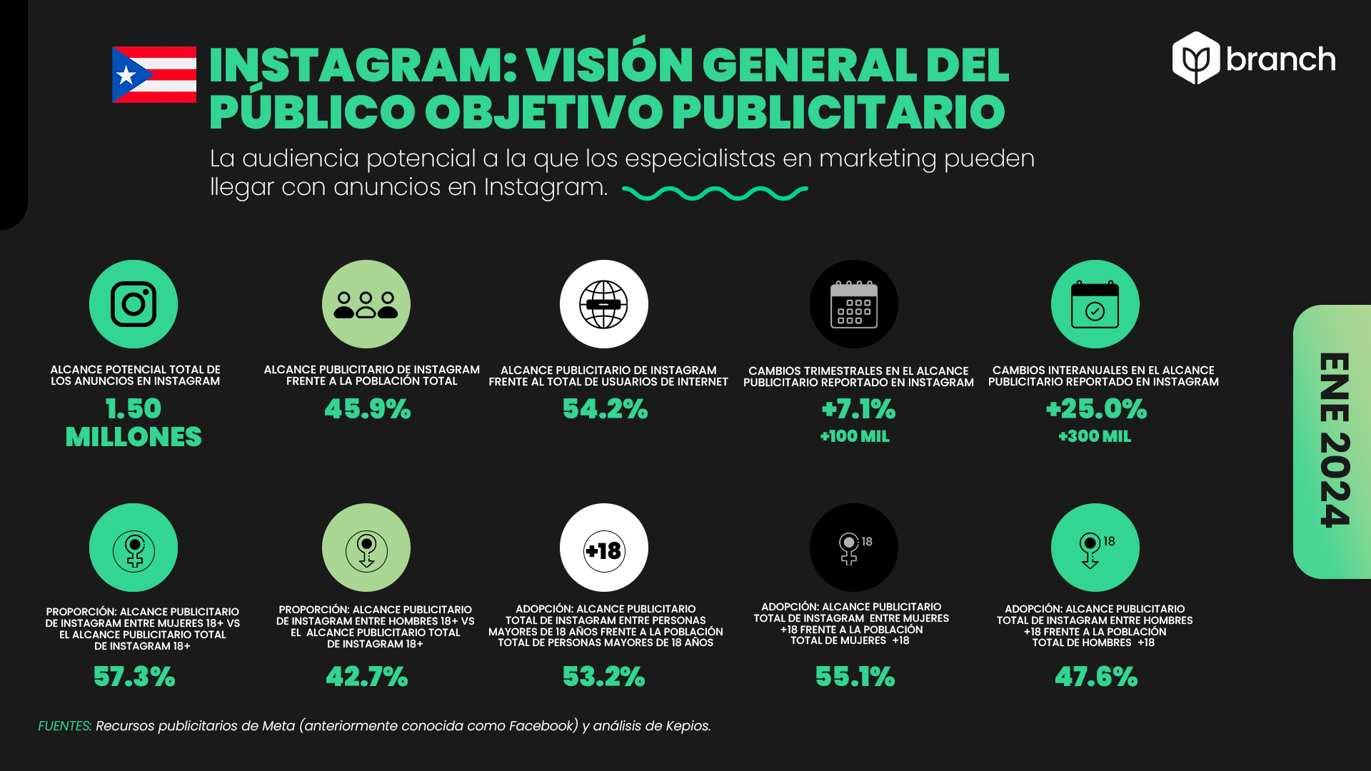 Estadísticas situación digital de Puerto Rico 2024 | Branch Agencia